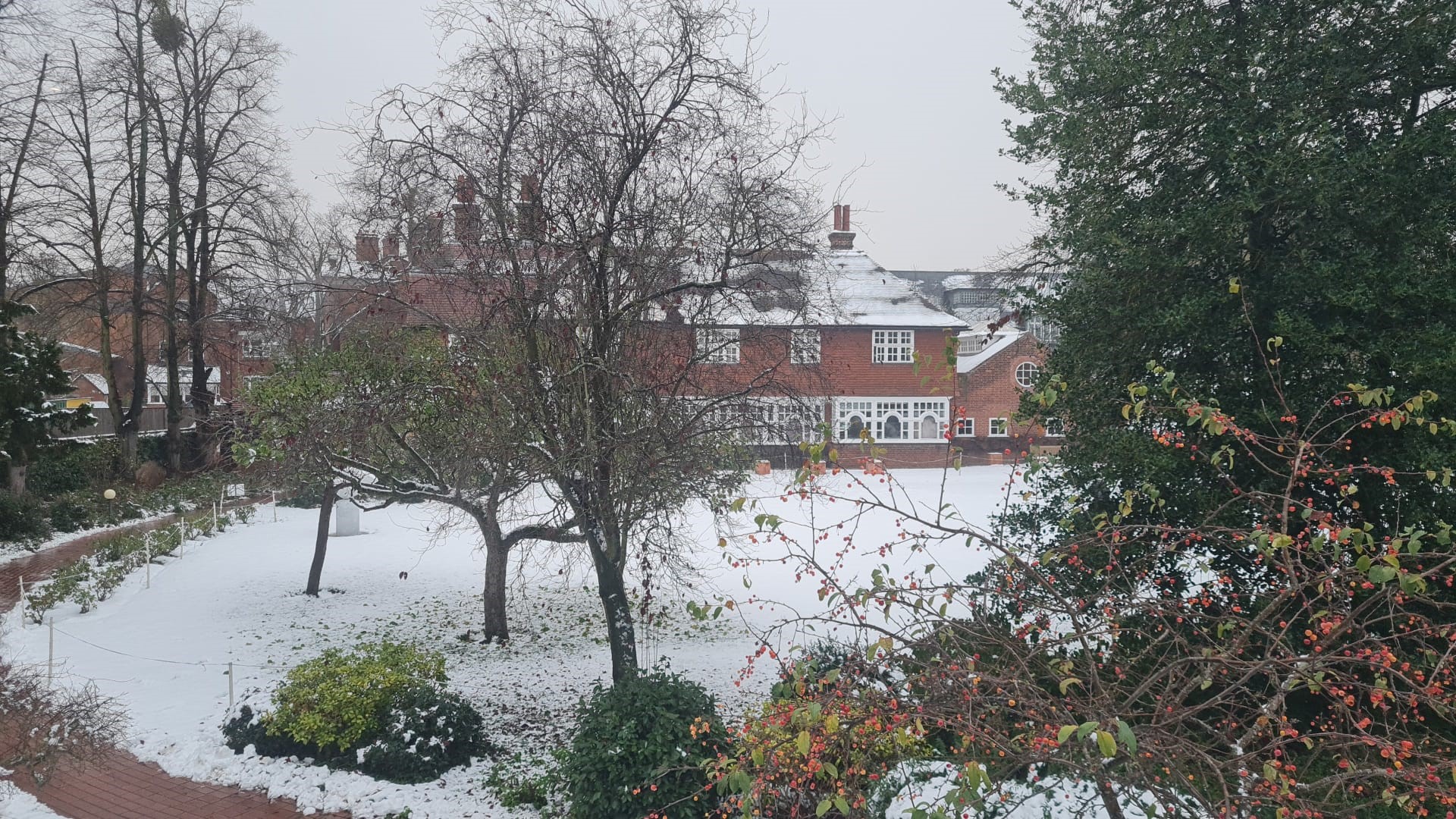 In pictures: snow at Clare Hall - Clare Hall