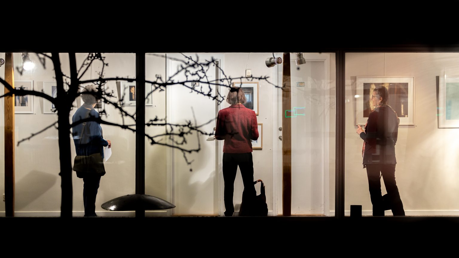 In pictures: private view attendees enjoy Robin Stemp exhibition ...