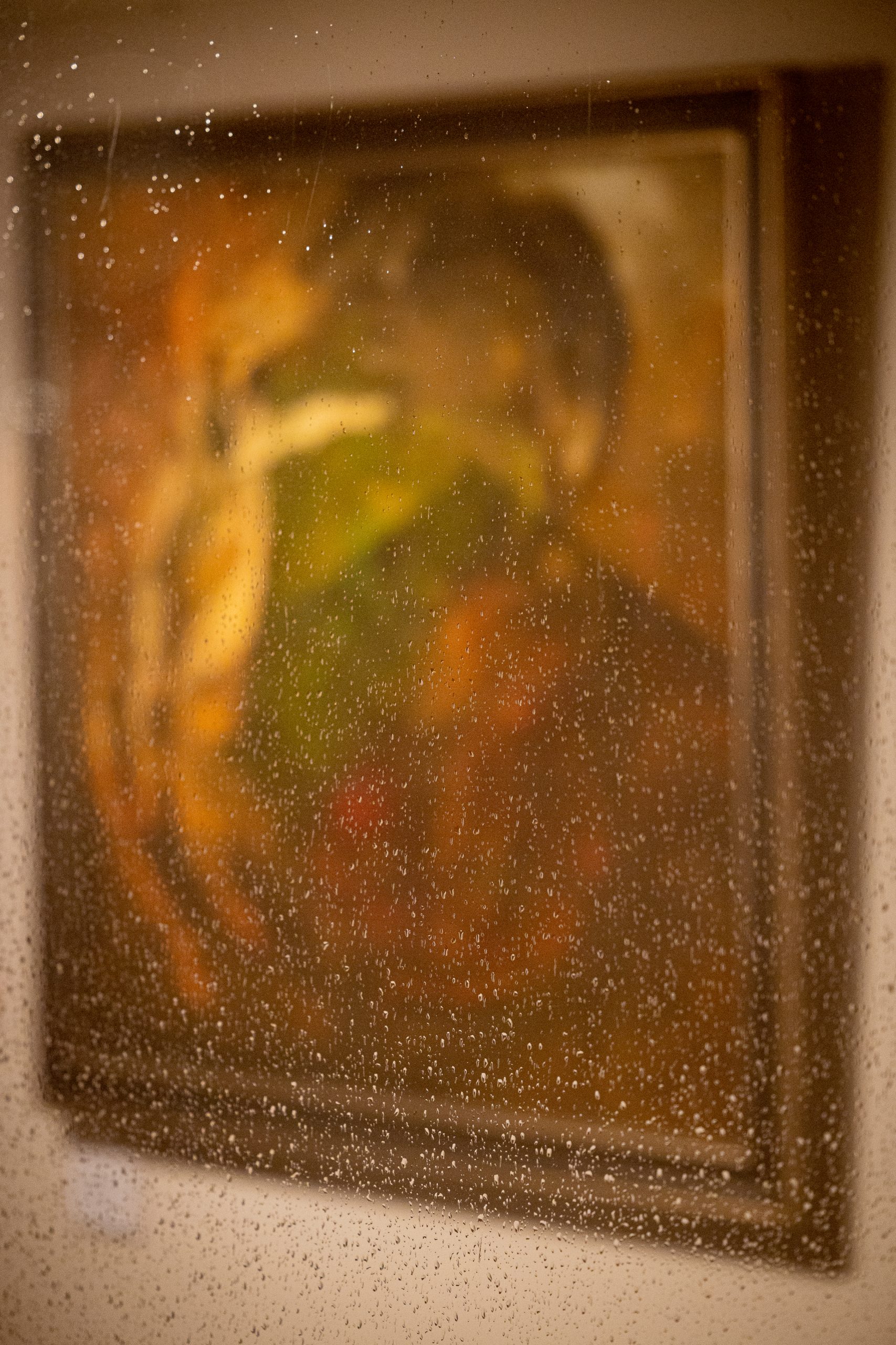 In pictures: members and friends enjoy luminous paintings by Jill ...